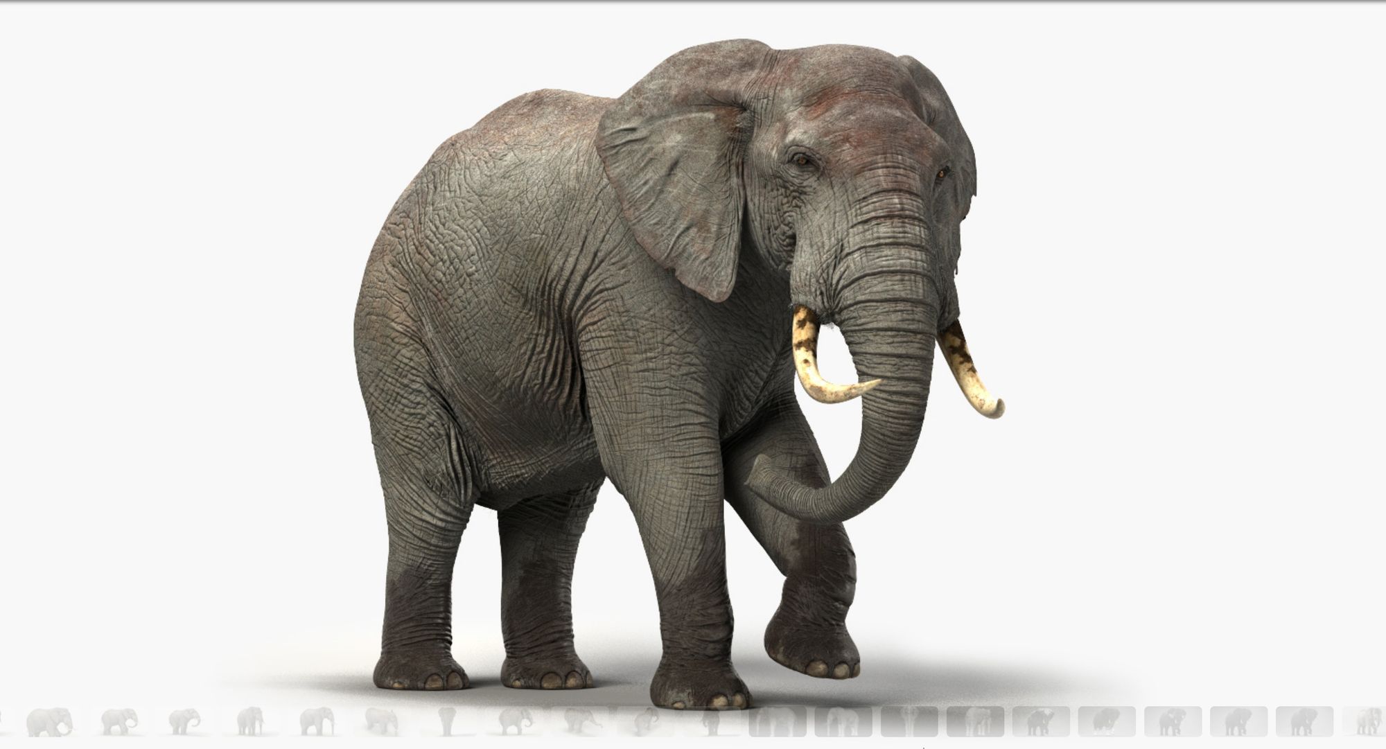 Where To Find 3D Models For AfterNow Prez